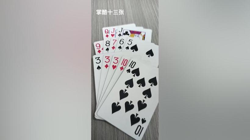 掌酷十三张有挂吗图标