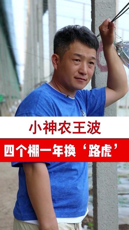 逍遥山村小神农图标