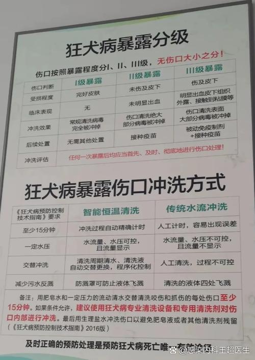 最危险的病毒第一名截图
