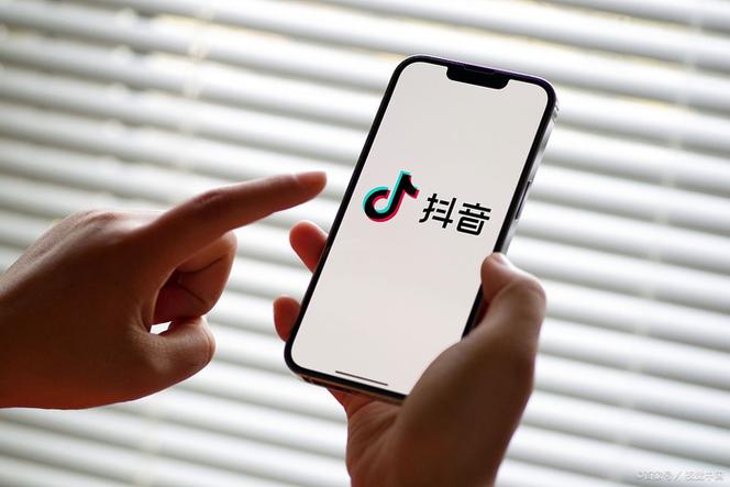 抖域文化传媒截图