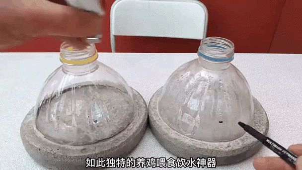 矿泉水瓶自制投食器截图