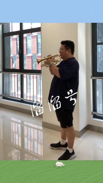 短号与小号哪个独奏好截图