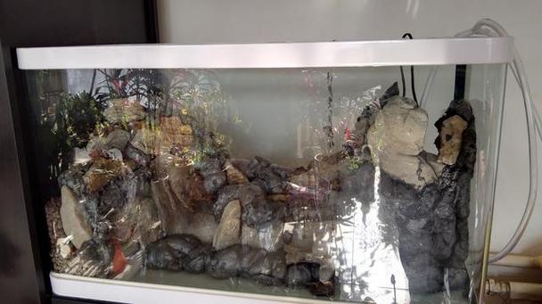 收旧鱼缸图标