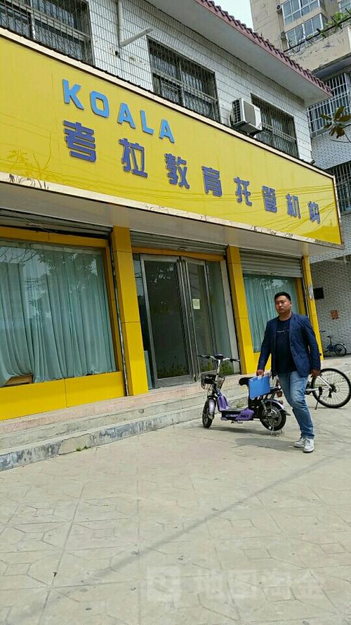 考拉教育培训机构图标