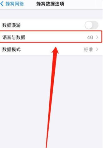 苹果11怎么开启5g网络截图