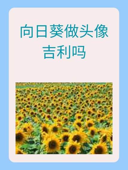 葵花的性格特征图标