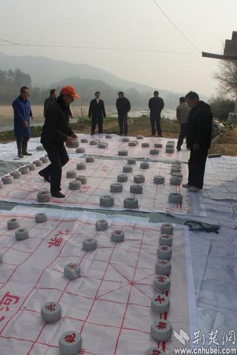 大西瓜象棋图标