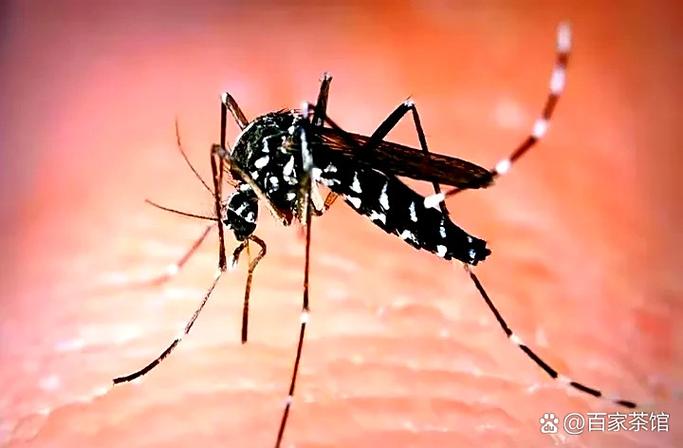 生物病毒战