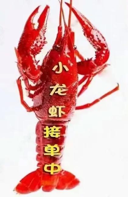 一斤小龙虾大概多少只图标