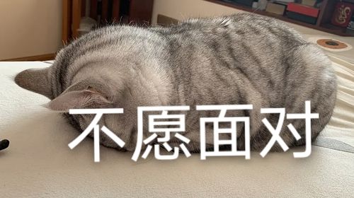 可惜的表情包截图