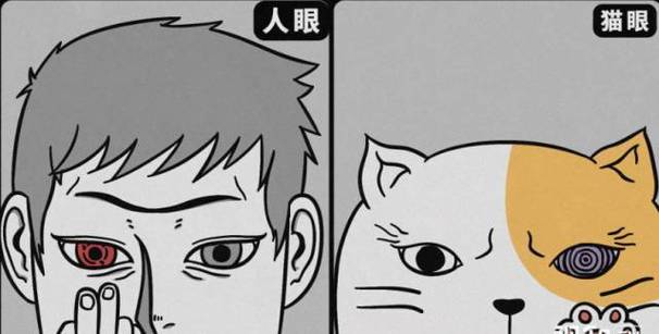 看猫眼外面的人知道吗截图