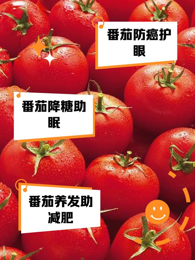 番茄视频产品优势