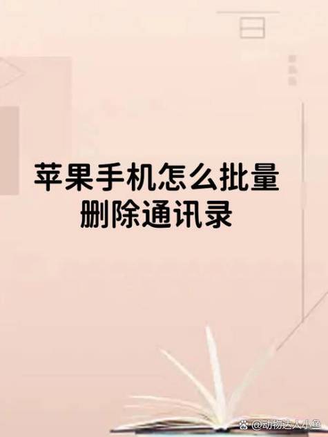 怎么批量删除苹果手机通讯录图标