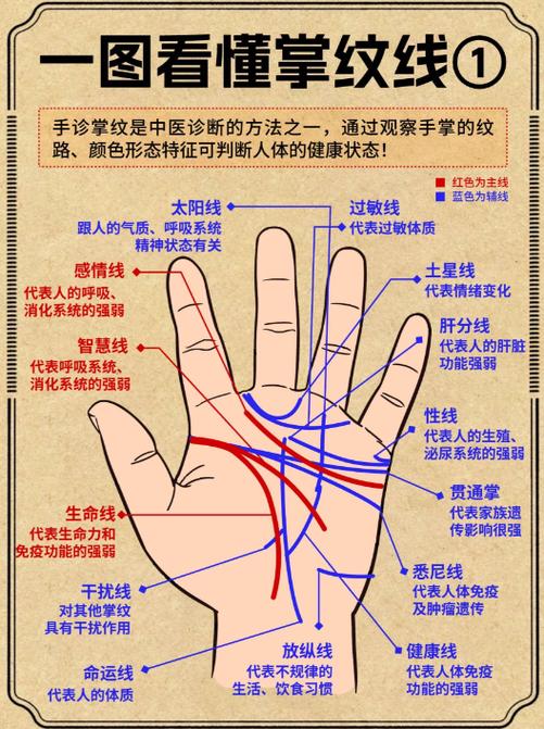 手相图解图标