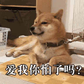 沙雕狗狗表情包gif图标