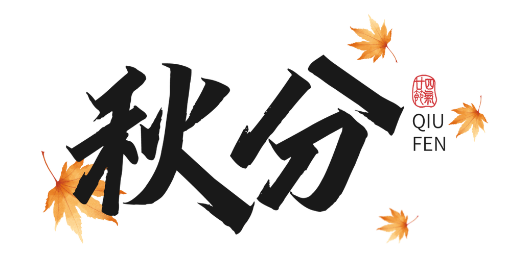 秋分视频素材图标