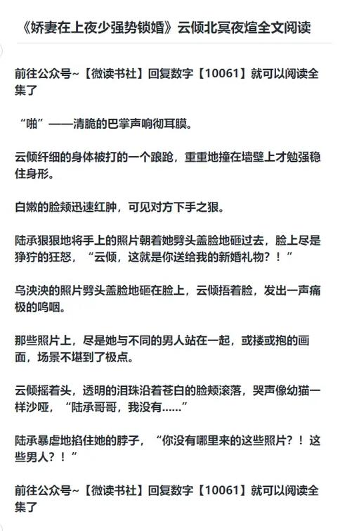 北冥夜宣和云倾的小说图标