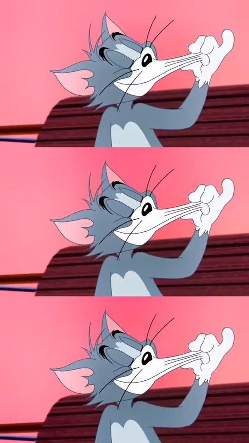 粉色汤姆猫图片图标