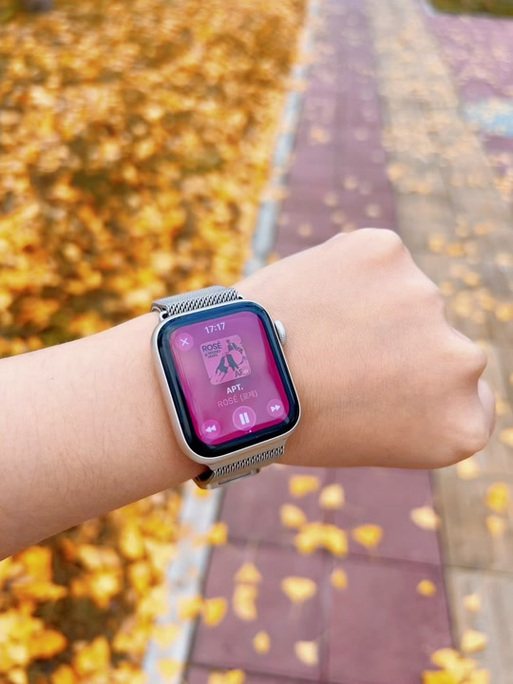 apple watch离线听歌截图