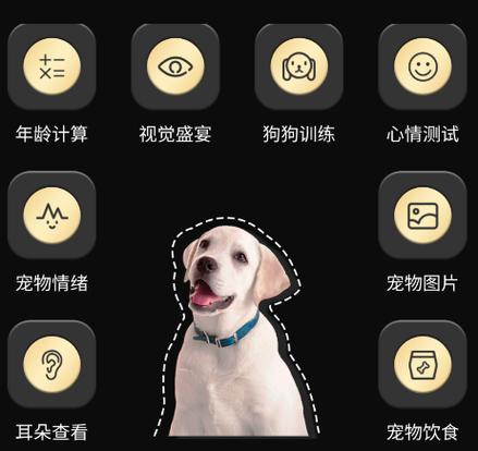 什么软件可以让狗和人交流缩略图