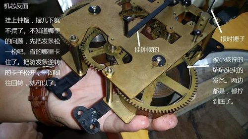 北极星钟表维修中心截图