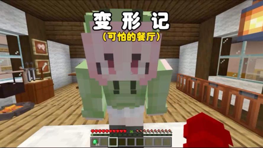 我的世界变性记6截图