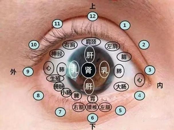 卧蚕和眼袋有什么区别图标