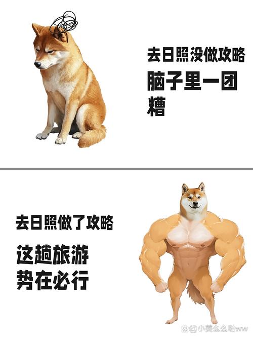 吉普赛梗暗示什么截图