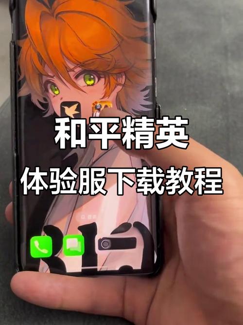 和平手机变平板软件截图