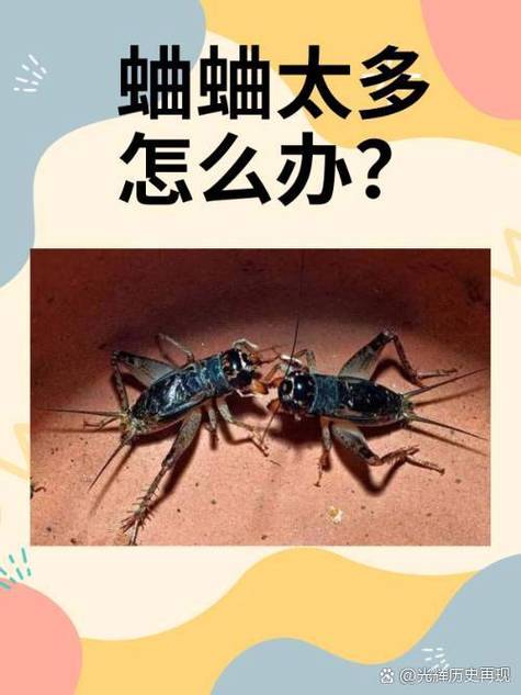 家里有蛐蛐一直叫图标