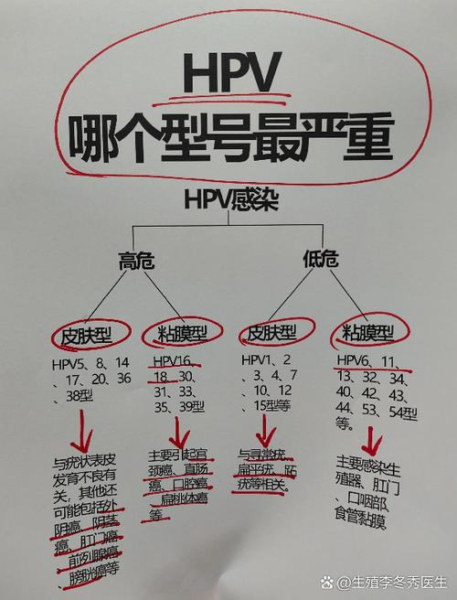 hpv16是怎么感染上的截图