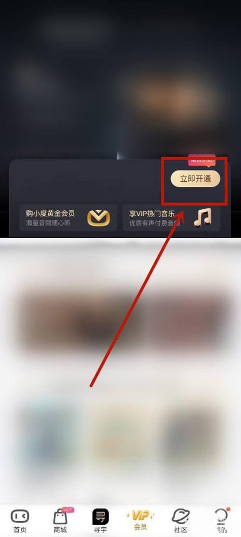 小度还要开通会员吗