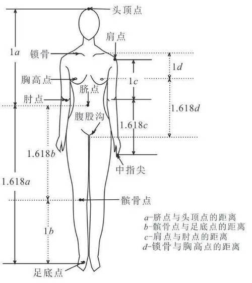 人体黄金比例公式截图