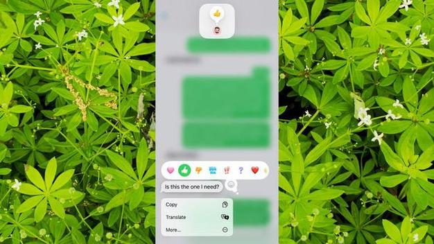 imessage突然变绿色了截图