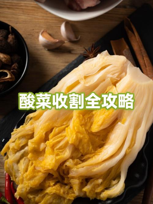 酸菜闻着臭臭的是怎么回事图标