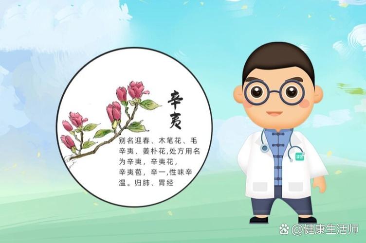 辛夷怎么用图标