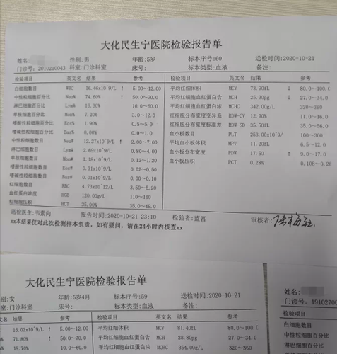 医院检验报告单网上查询图标