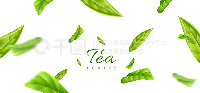 绿茶传媒图标