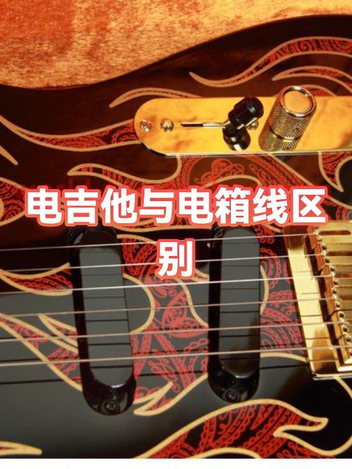 电箱琴和电吉他的区别图标