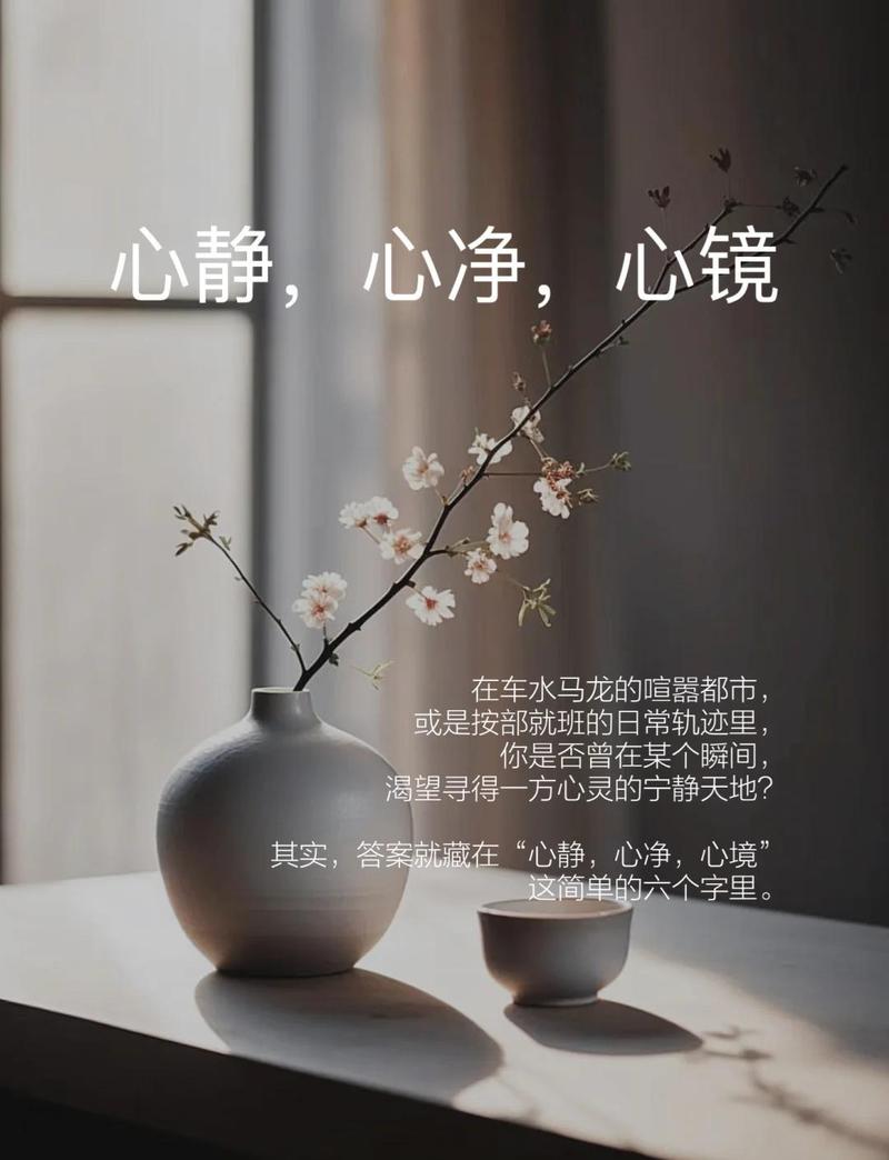 心静是什么意思图标