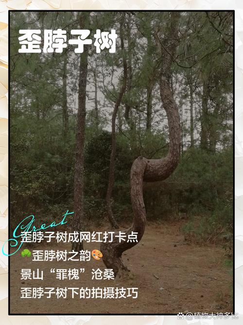 农夫种田记歪脖铁树图标