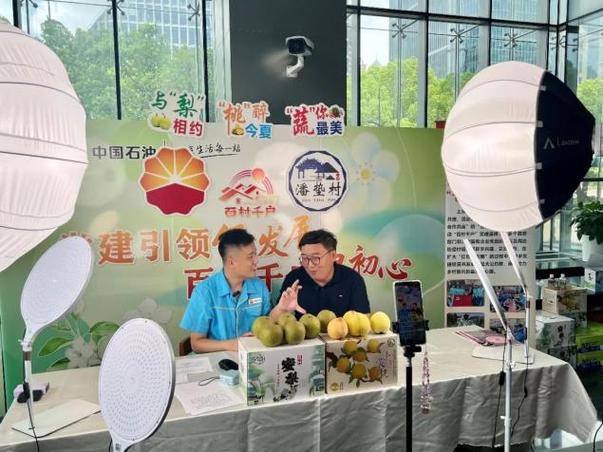蜜梨直播图标