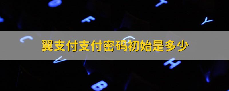 翼支付初始登录密码是什么图标