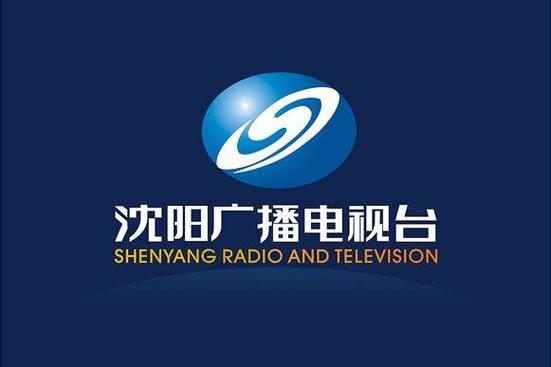 沈阳广播电视台官网截图