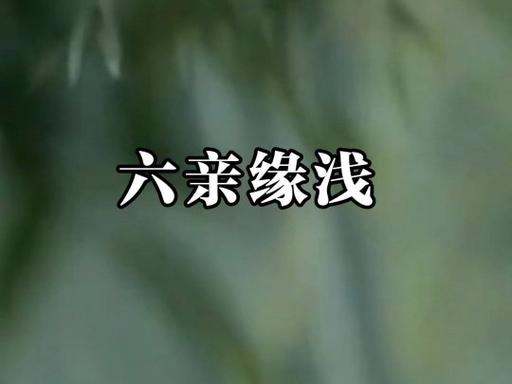 六亲缘浅正缘在哪一年图标