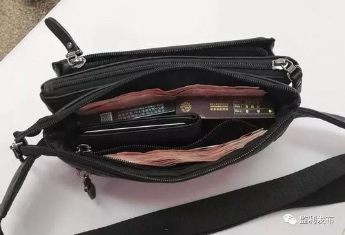捡来的包可以用吗图标