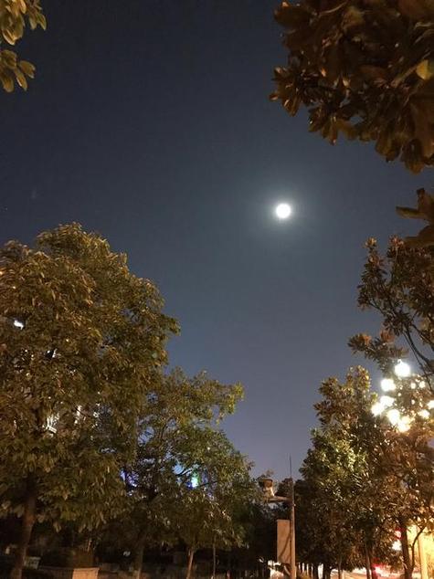 一天收尾精辟句子图标