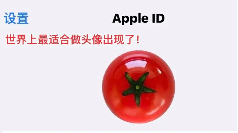 苹果id头像怎么设置回原来的头像图标