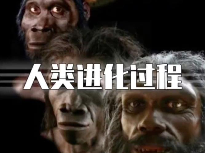人类的进化视频截图