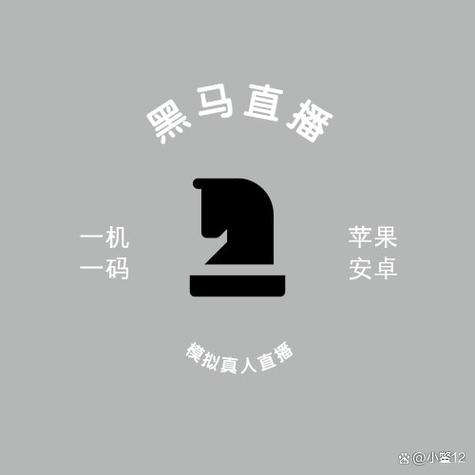 黑马盒子直播app卡密图标
